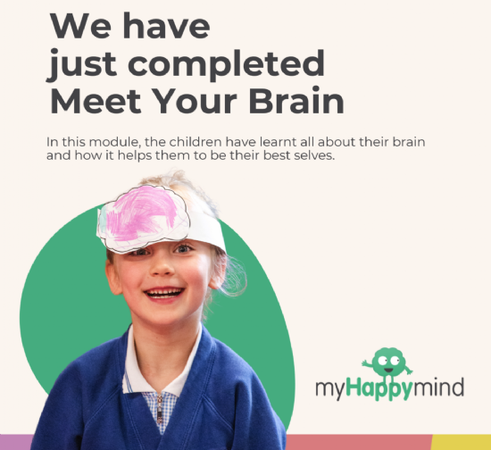 St George's Primary School - We have completed Meet Your Brain